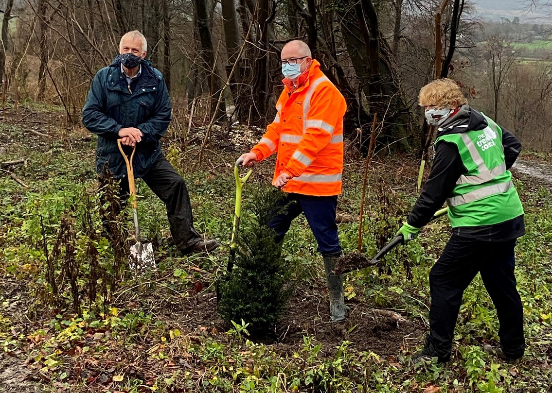 Thousands of trees planted as Network Rail’s £1 million pledge takes ...